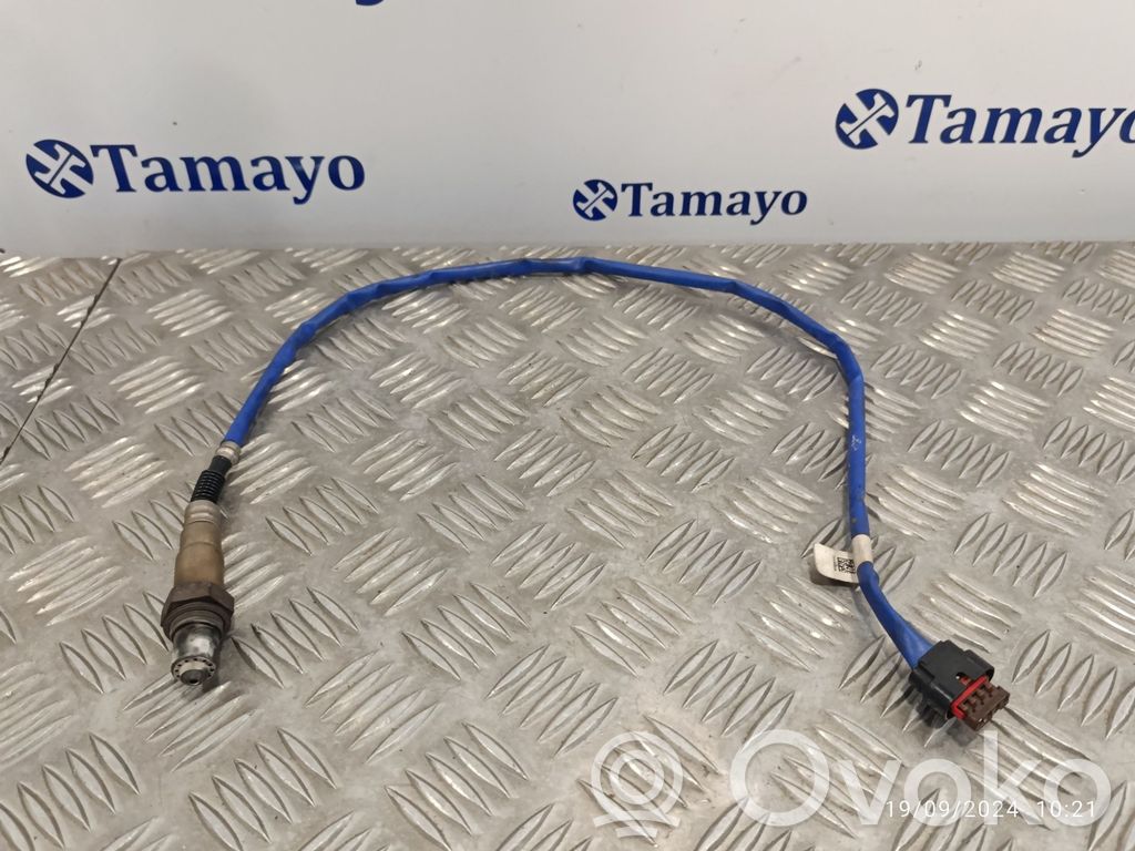 F1FA9G444EA Ford Focus Sonde lambda, 39,30 € | OVOKO