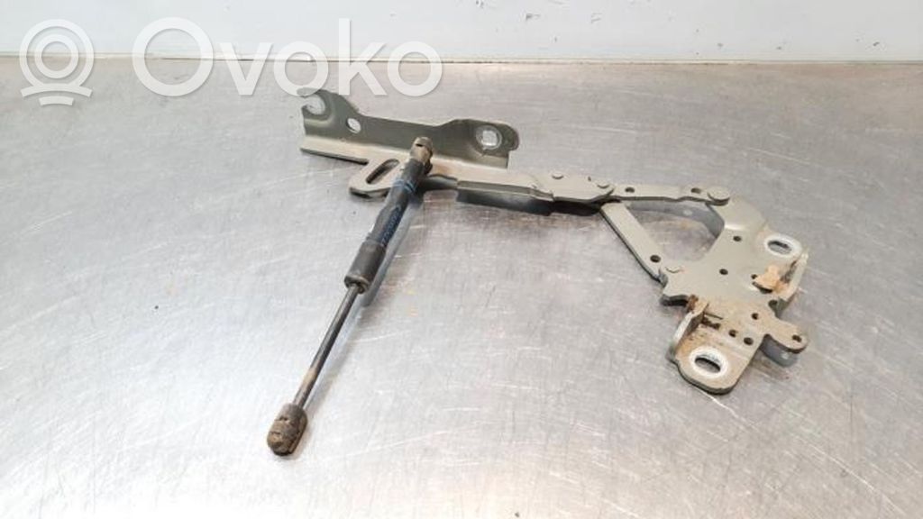 41617286344 BMW 1 F20 F21 Cerniere del vano motore/cofano, 27,35 € | OVOKO