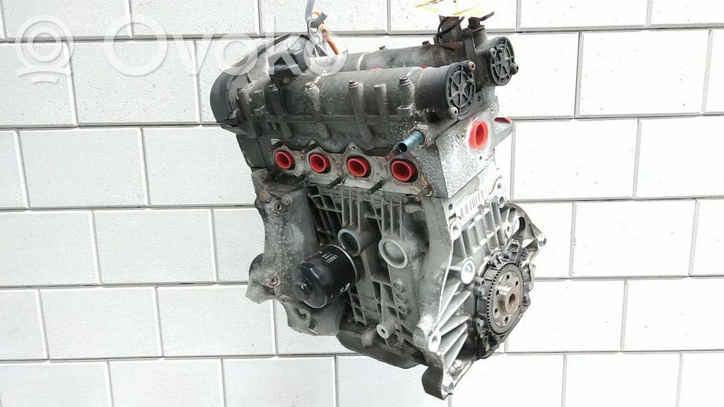 036100038J Volkswagen Polo V 6R Motor, 2.075,15 RON | OVOKO