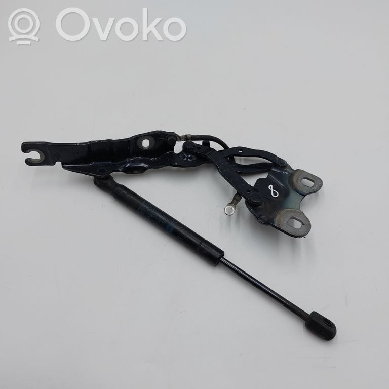 9801570 Mini Cooper Countryman R60 Engine bonnet/hood hinges, €20.00 | RRR