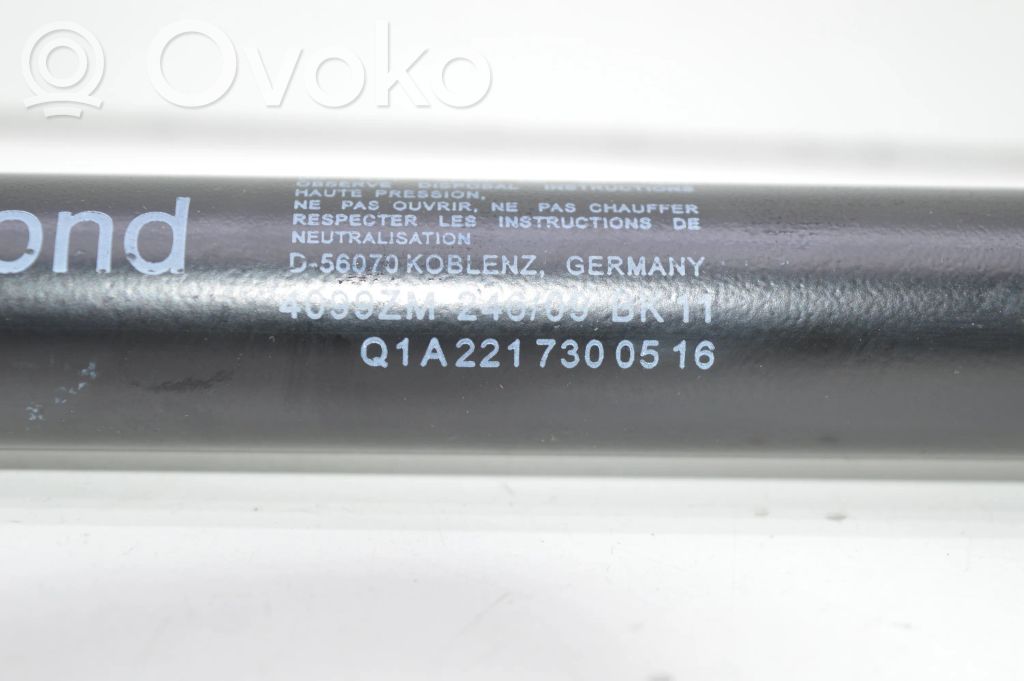 RPG5150 Mercedes-Benz S W221 Charnière arrêt tirant de porte avant ...