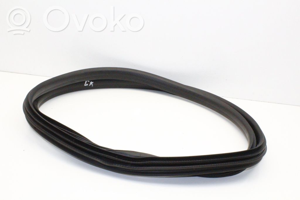 Renault Arkana Rubber seal rear door, €20.00 | RRR