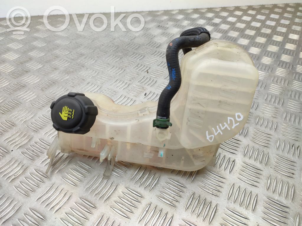 217100014R Renault Laguna III Serbatoio di compensazione del liquido ...