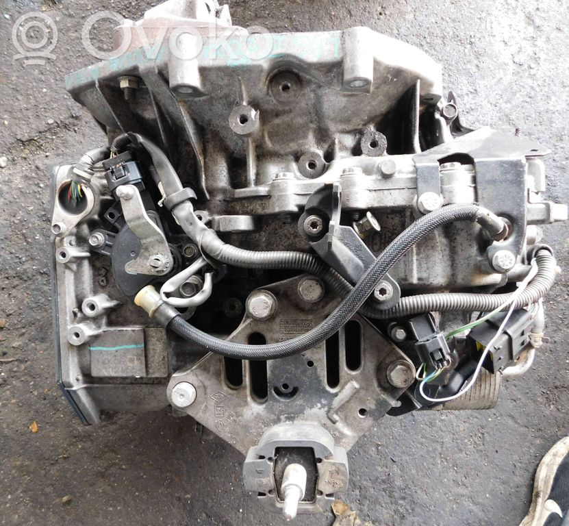 1XK0E Renault Laguna III Boîte de vitesse automatique, 162,35 € | OVOKO