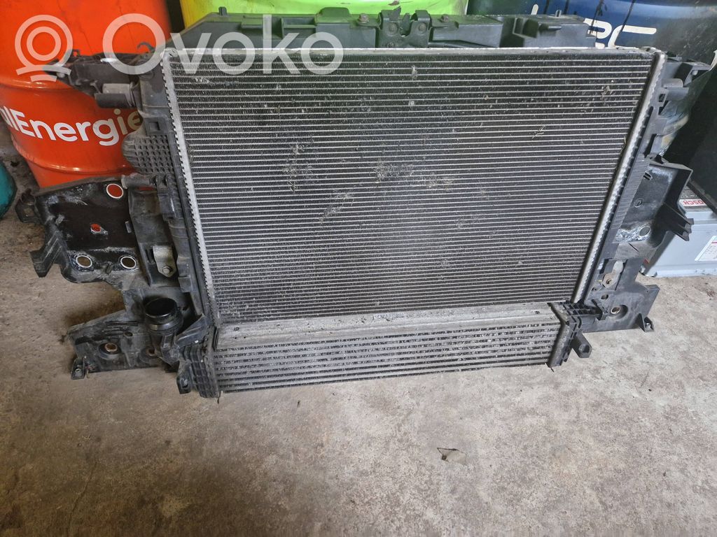 752100007R Renault Scenic III - Grand scenic III Radiatorių panelė, 60 ...