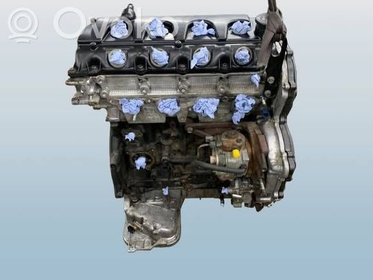 YD25 Nissan Navara D40 Engine, €1,800.00 | RRR