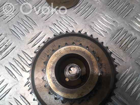 Audi Q5 SQ5 Timing Chain Sprocket 06E109077E 06E109220A | EzParts ...