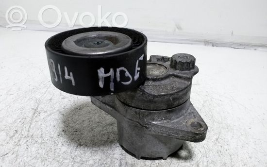 Mercedes-Benz E W211 Alternator Belt Tensioner A6462000570 | EzParts ...
