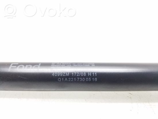 A2217300516 Mercedes-Benz S W221 Tailgate/trunk strut/damper ...