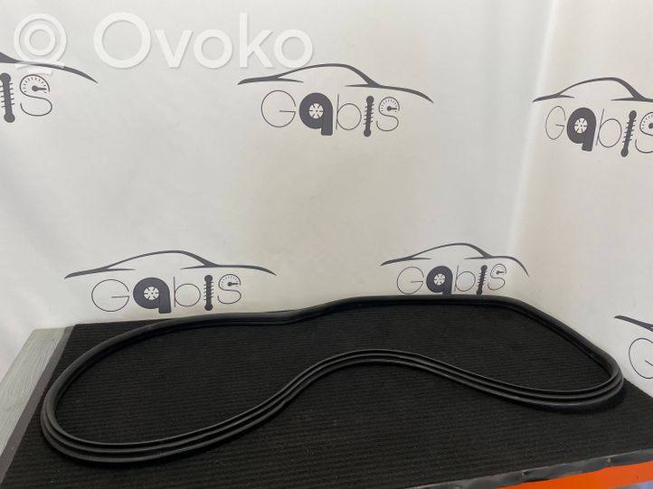 A2056363800 Mercedes-Benz C W205 Rubber seal front coupe door, 18.00 ...