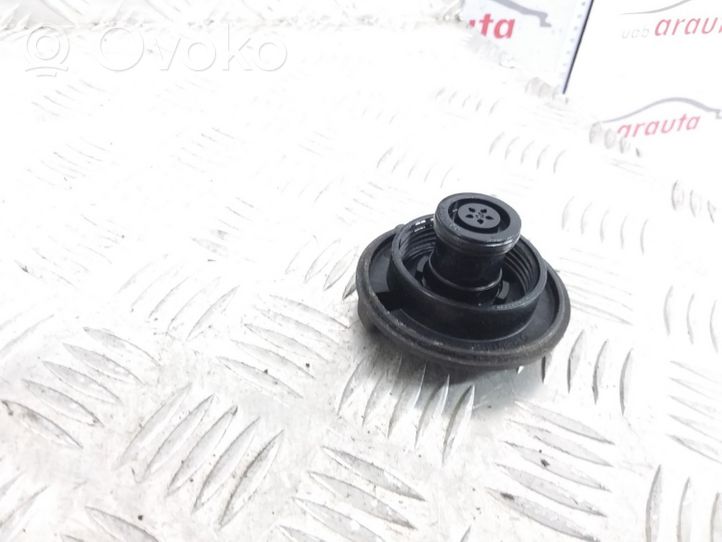 A9065010015 Mercedes-Benz Vito Viano W639 Aušinimo skysčio išsiplėtimo ...