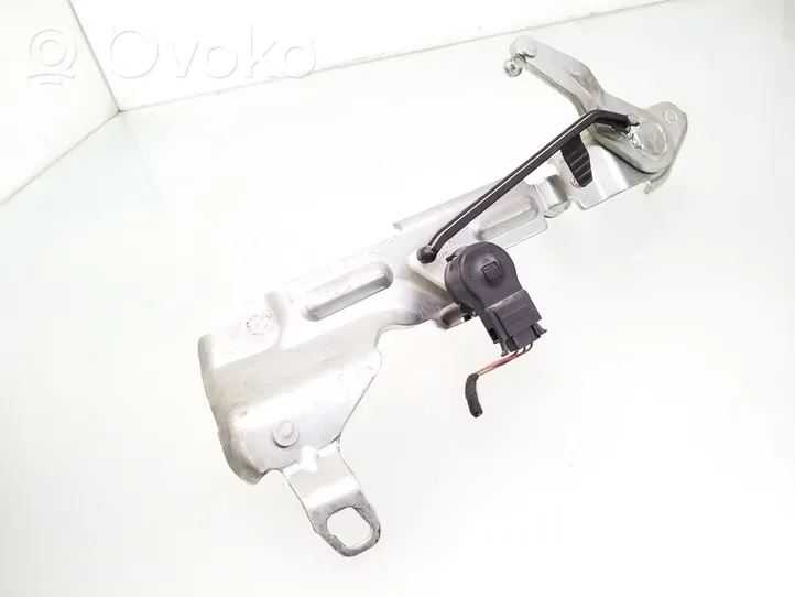 2207500060 Mercedes-Benz S W220 Cerniera portellone posteriore ...