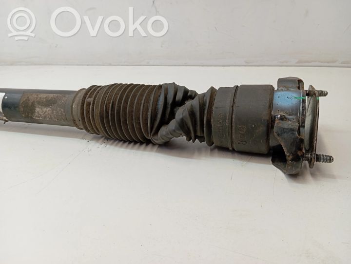 A1663261500 Mercedes-Benz GLE (W166 - C292) Rear shock absorber/damper ...