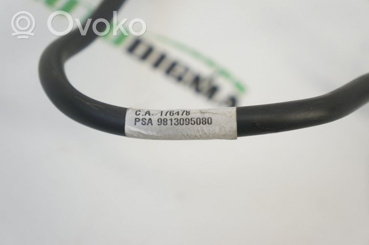 9810806380 Peugeot 3008 II Soupape à vide, 20.00 € | OVOKO