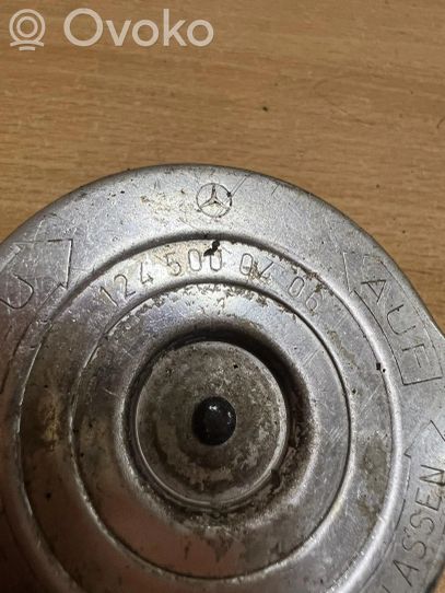 1245000406 Mercedes-Benz E W210 Serbatoio di compensazione del liquido ...