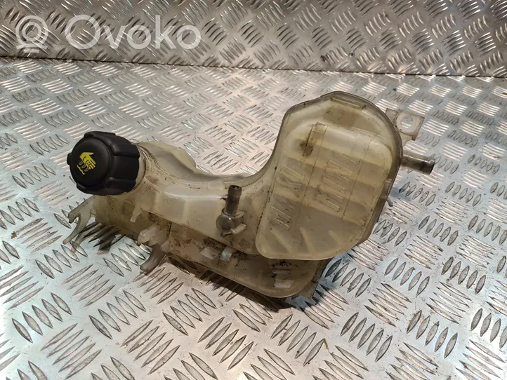 217100014R Renault Laguna III Coolant expansion tank/reservoir, 8.00 ...