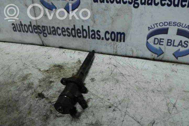 0445110076 Peugeot 206+ Fuel injector, 67.09 € | RRR