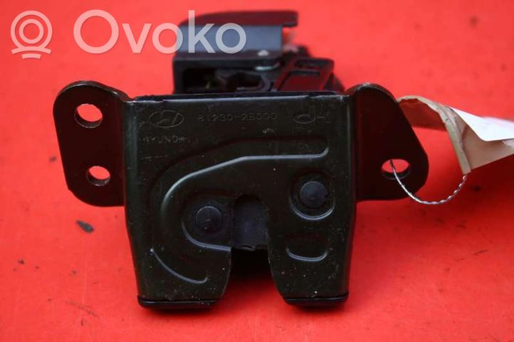 81230-2B000 Hyundai Santa Fe Tailgate/trunk/boot lock/catch/latch, 11. ...
