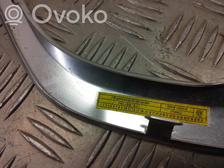 1617181920 BMW X1 F48 F49 Rear side glass trim, 80.00 € | RRR