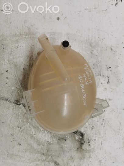 GN11-8A080-AA Ford Fiesta Coolant expansion tank/reservoir, 15.28 € | RRR