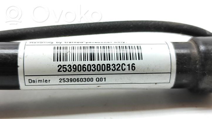 2539060300 Mercedes-Benz GLC X253 C253 Airbag piéton, 99.99 € | OVOKO