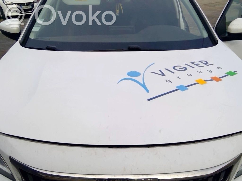 9842375180 Peugeot 3008 II Couvercle, capot moteur, 500,00 € | OVOKO