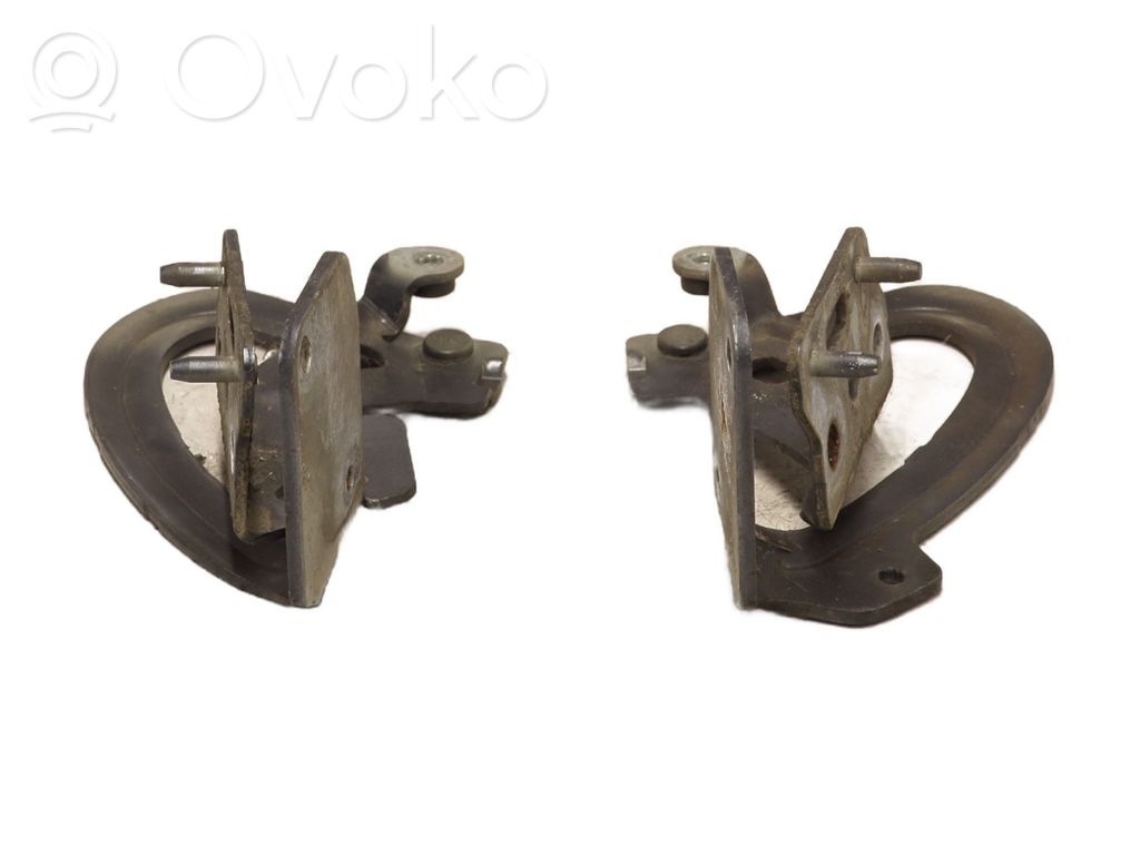 791274 Peugeot 1007 Cerniere del vano motore/cofano, 23,00 € | OVOKO