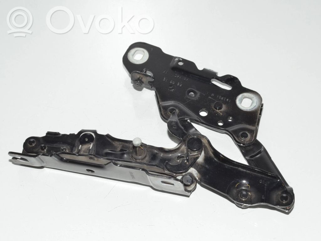 7397499 BMW X3 G01 Cerniere del vano motore/cofano, 49,00 € | OVOKO