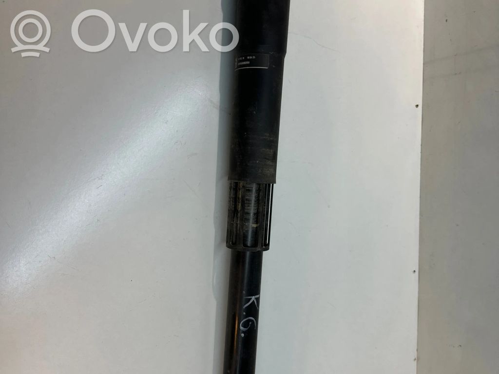 2Q0512013CT Volkswagen T-Cross Amortisseur arrière, 61,50 € | OVOKO