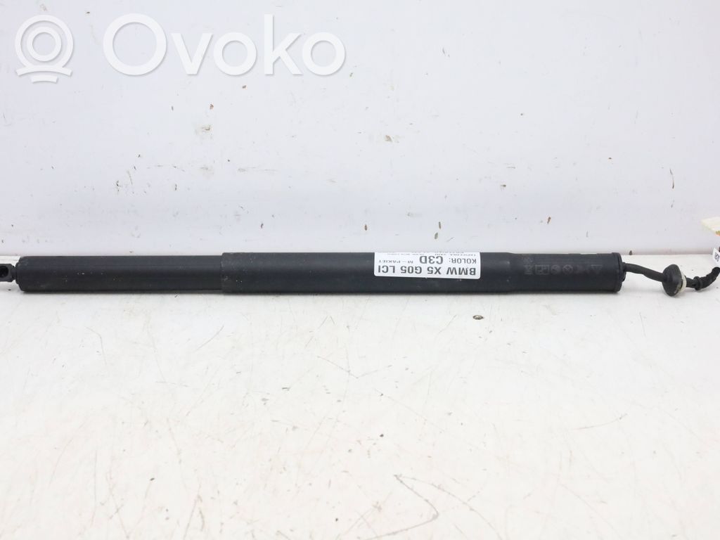 9482800 BMW X5 G05 Vérin de capot arrière, 47,06 € | OVOKO