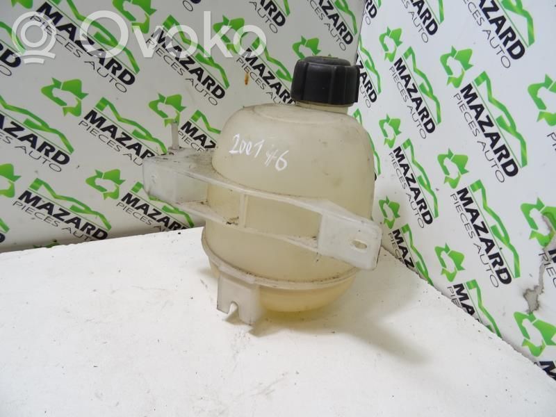 217104354R Renault Captur Coolant expansion tank/reservoir cap, €25.50 ...