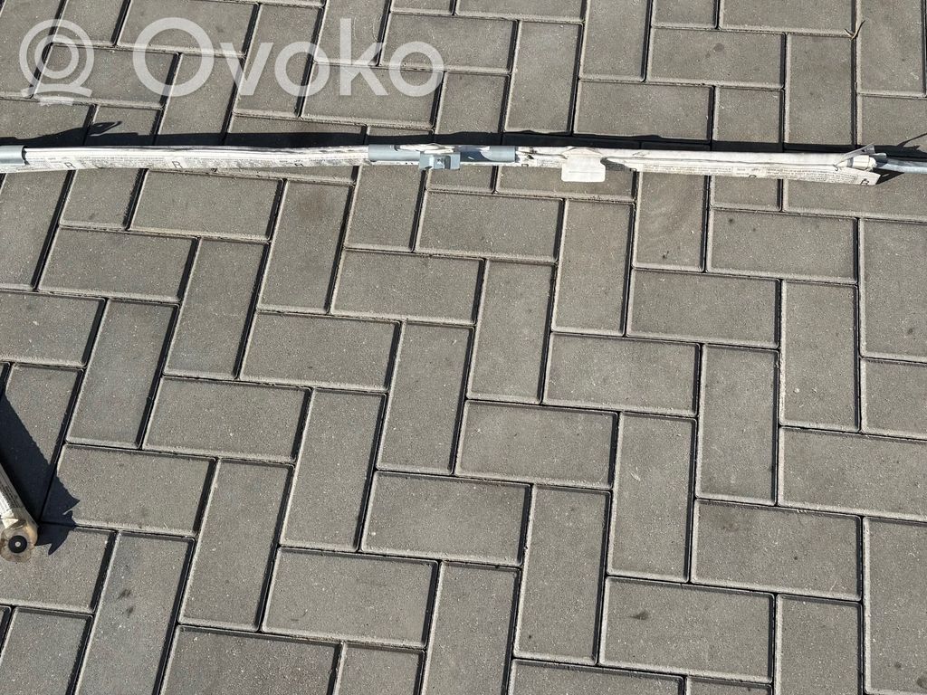 1Z9880742C Skoda Octavia Mk2 (1Z) Airbag da tetto, 25,00 € | OVOKO