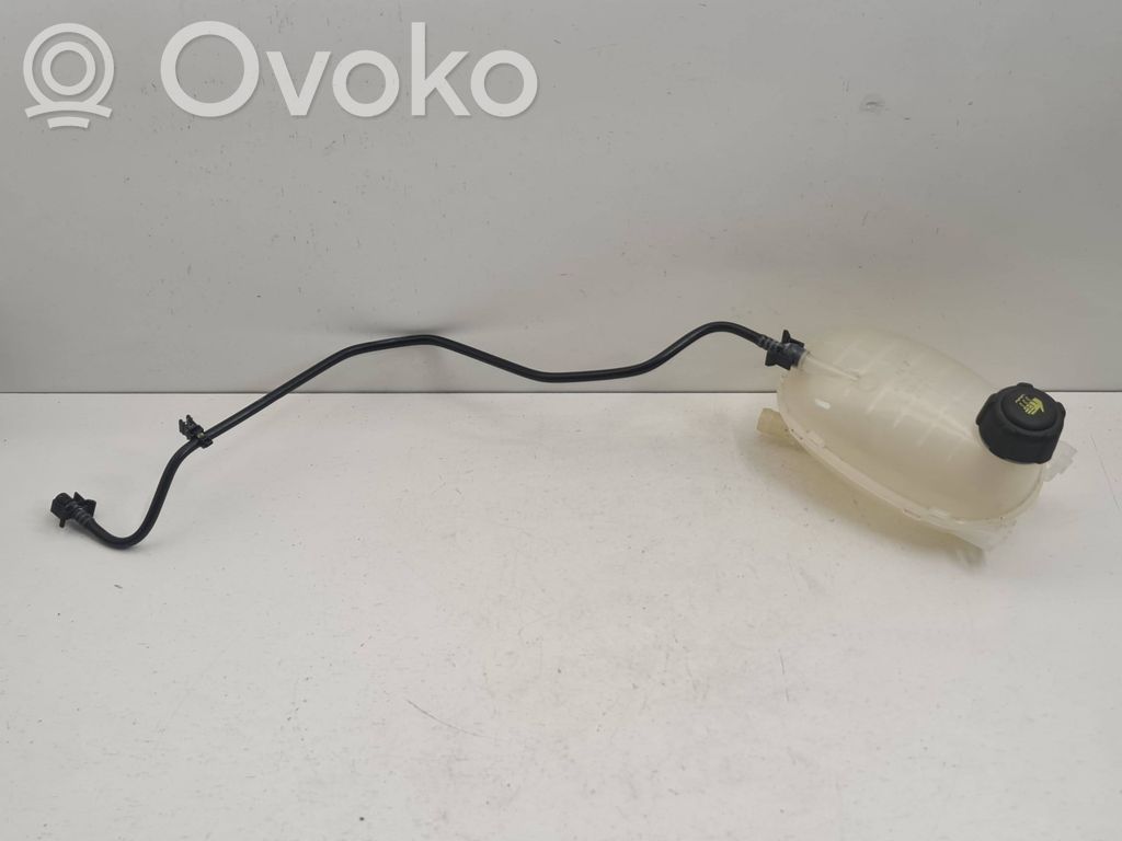 217102572R Renault Captur II Coolant expansion tank/reservoir cap, €30. ...