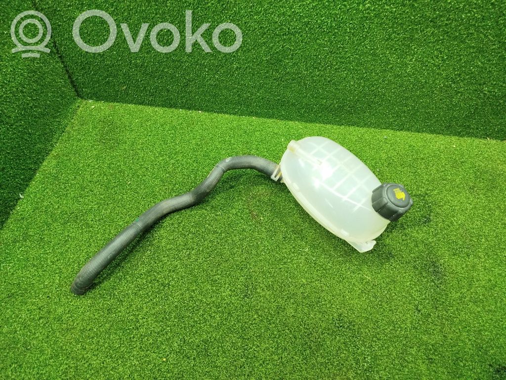 217102572R Renault Captur II Coolant expansion tank/reservoir cap, €30. ...