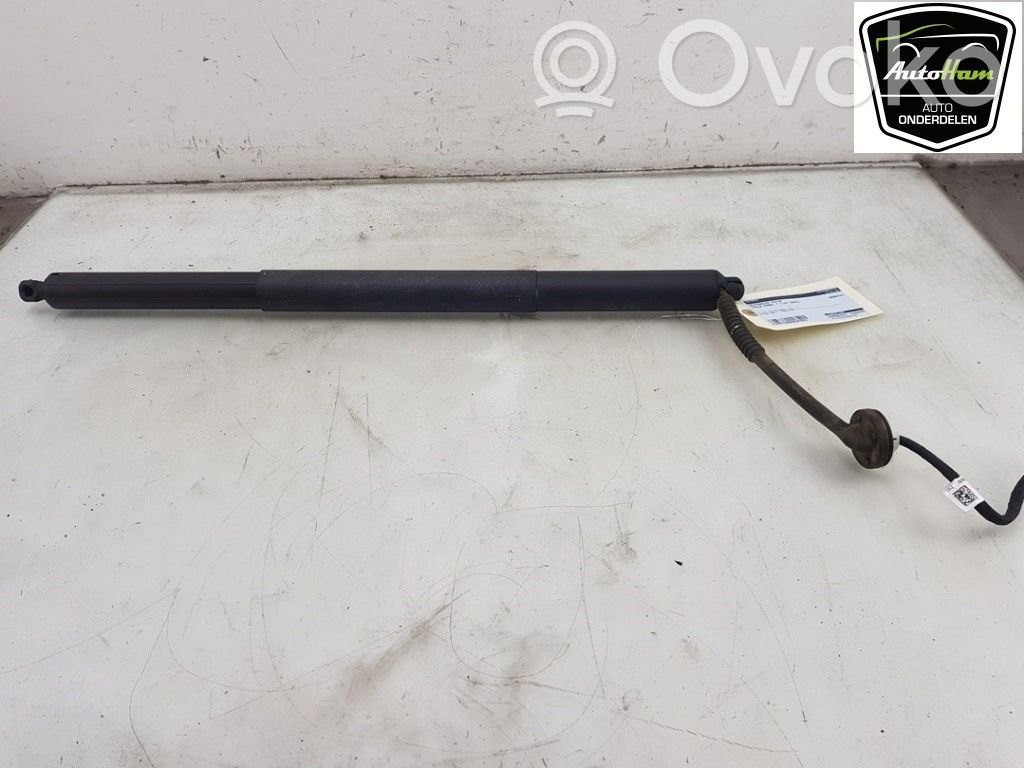 150060100A Tesla Model Y Tailgate/trunk/boot lid, €105.00 | RRR