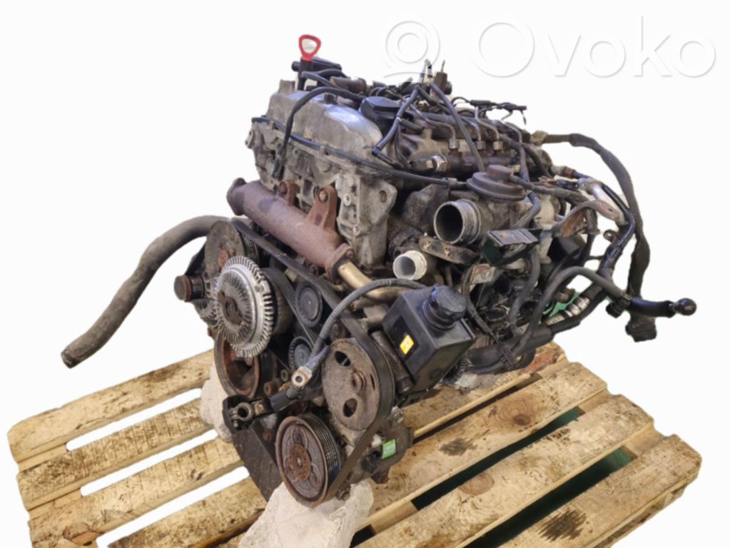 D20DT SsangYong Kyron Moteur, 1 200,00 € | OVOKO