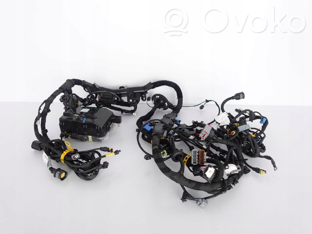 670007387 Maserati Quattroporte Faisceau de câblage pour moteur, 326,12 ...