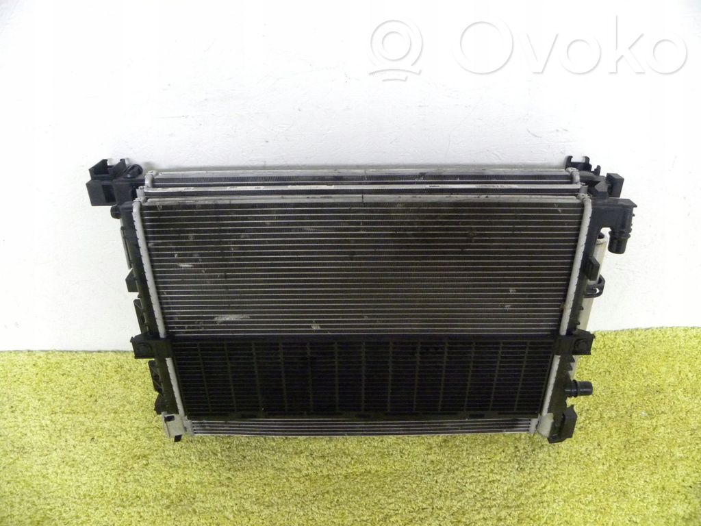 214104822R Renault Clio V Kit Radiateur, 709,60 € | OVOKO