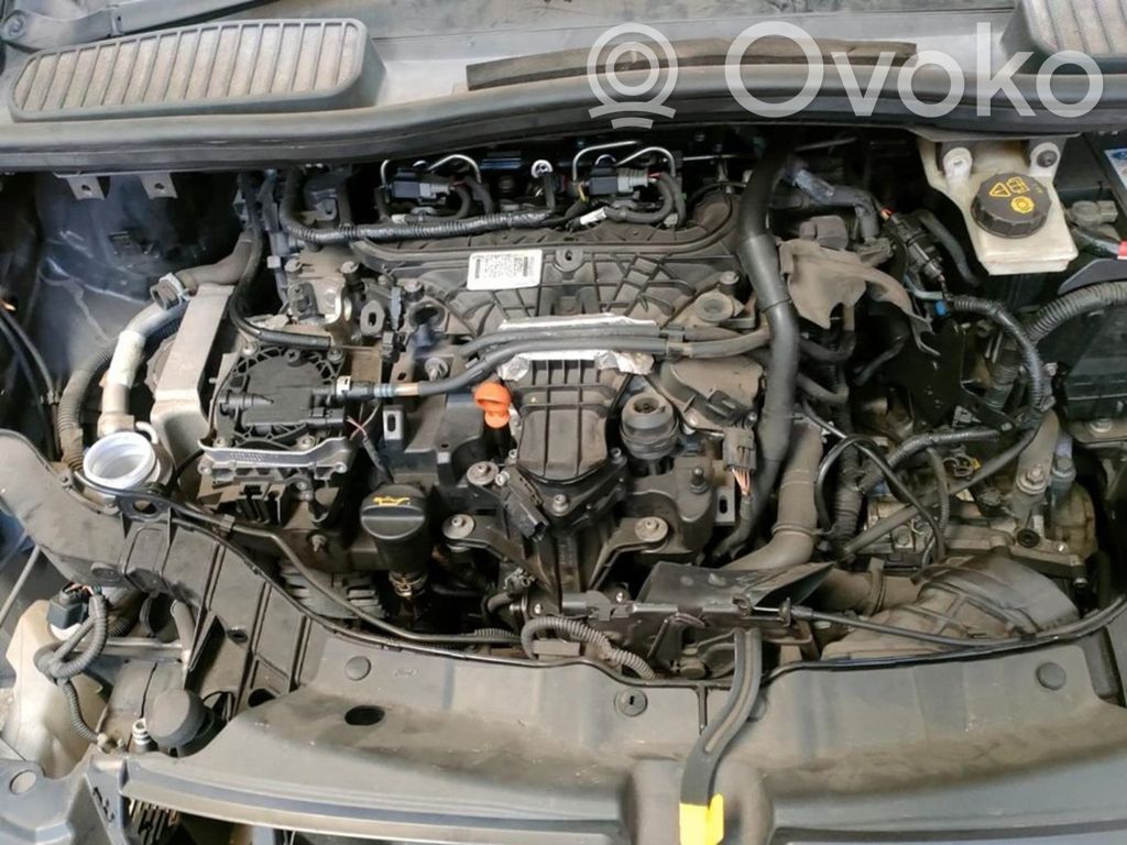 UFDB Ford Grand C-MAX Engine, €1,274.07 | RRR