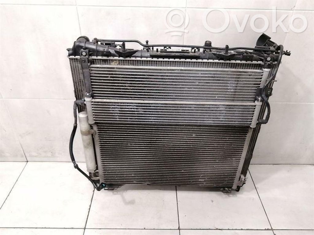 CPLA19E839AD Land Rover Range Rover Sport L494 Radiator set, €500.00 | RRR