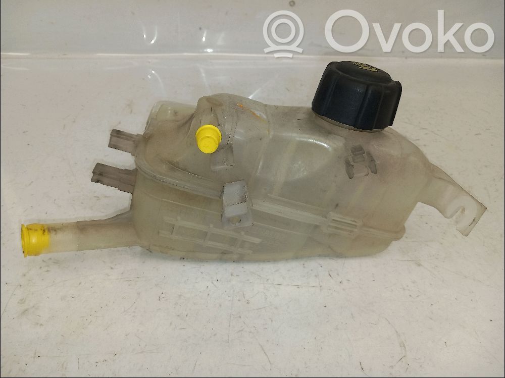 217100005R Renault Scenic III - Grand scenic III Serbatoio di ...