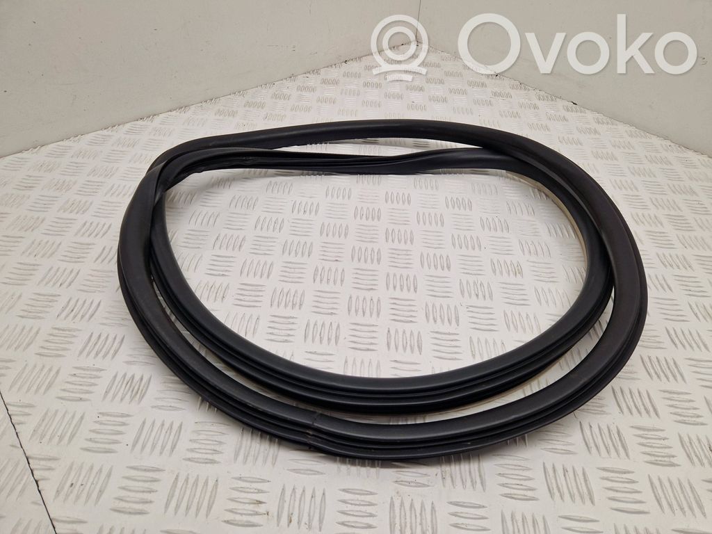 Renault Talisman Front door rubber seal, €20.00 | RRR