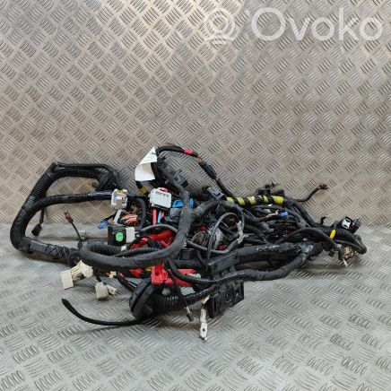 248905004C Tesla Model Y Other wiring loom, 105.00 € | RRR