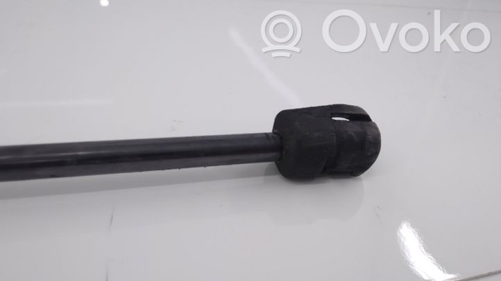 A1648800029 Mercedes-Benz ML W164 Vérin, capot-moteur, 9.48 € | OVOKO