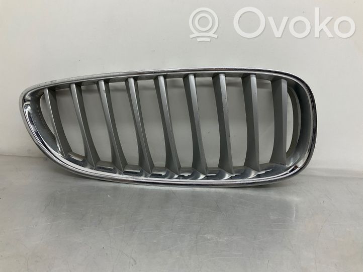 40502055 BMW Z4 E89 Front bumper upper radiator grill, 29.99 € | RRR