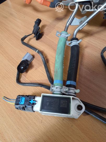 LTR18986 Renault Captur Catalyst/FAP/DPF particulate filter 208A03317R ...