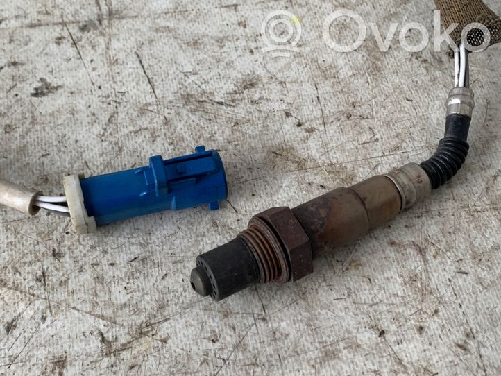 3M519G444DC Ford Focus Lambda probe sensor, 12.71 € | RRR