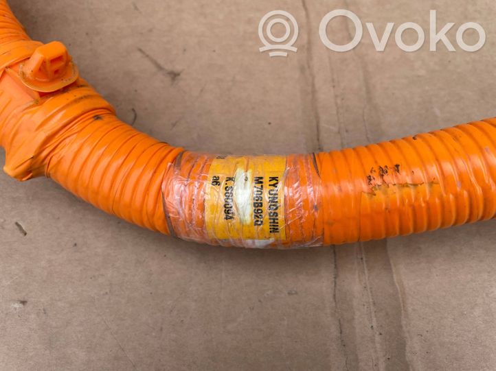 916A3-GI010 Hyundai Ioniq 5 Câble de batterie positif, 283.84 € | OVOKO