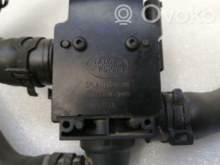 CPLA18B506AC Land Rover Range Rover Sport L494 Electric auxiliary ...