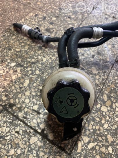 QFX100252 Land Rover Freelander Power steering fluid tank/reservoir, 20 ...